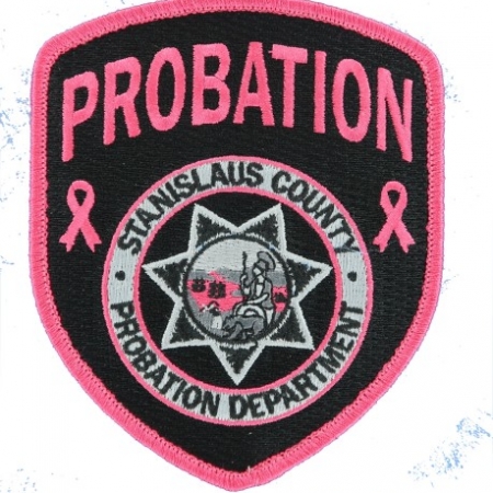 E24380 Probation Stanislaus County - The Emblem Authority